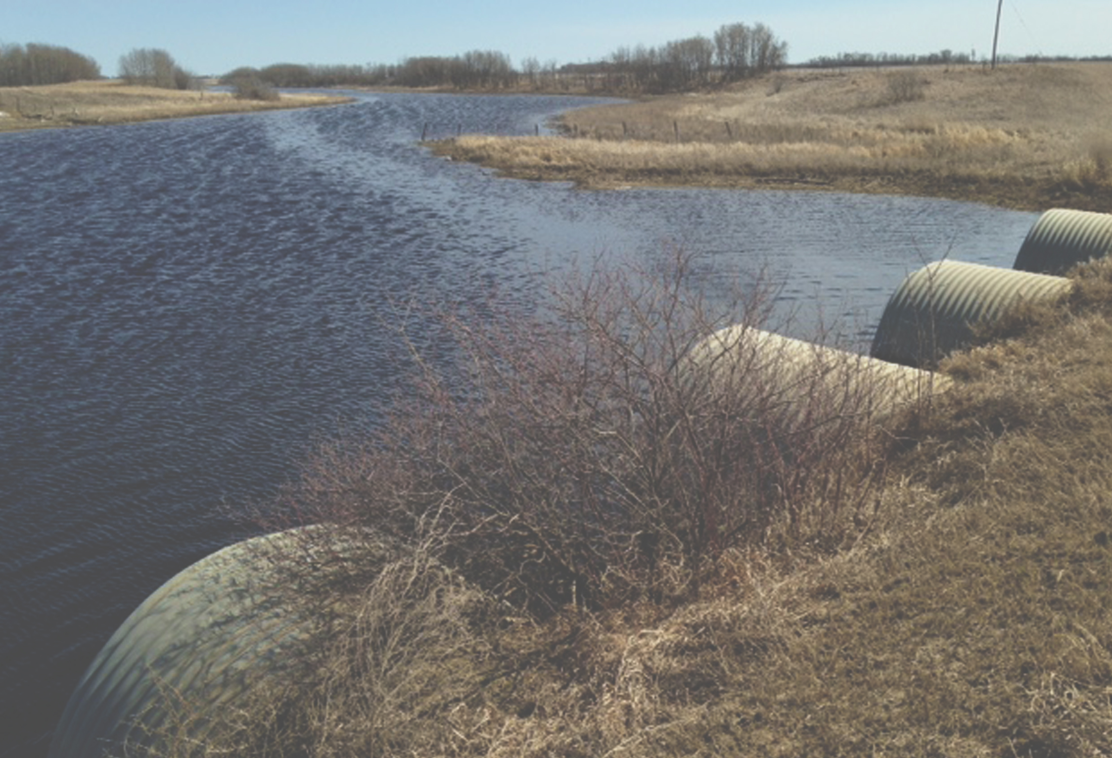 Geography and Planning - Department of Geography and Planning - Arts ...