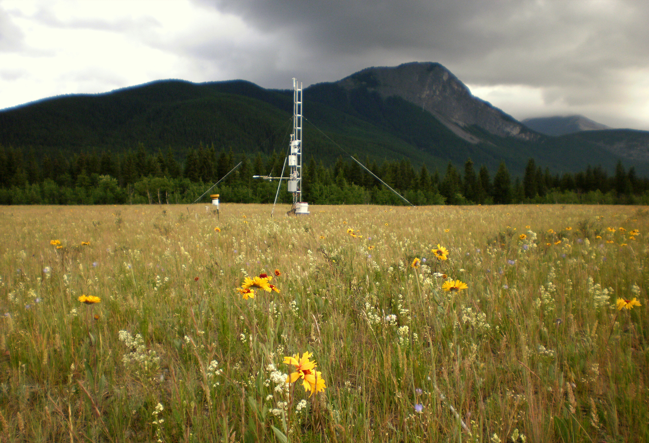 Geography and Planning - Department of Geography and Planning - Arts ...