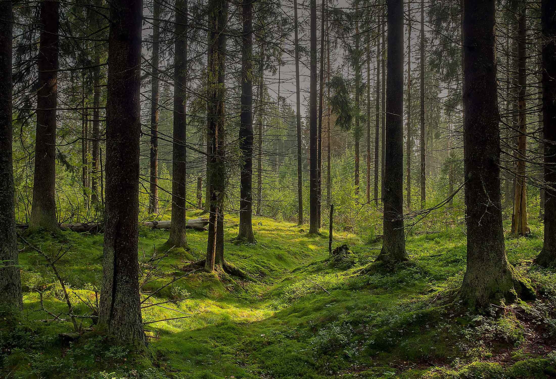 Geography and Planning - Department of Geography and Planning - Arts ...