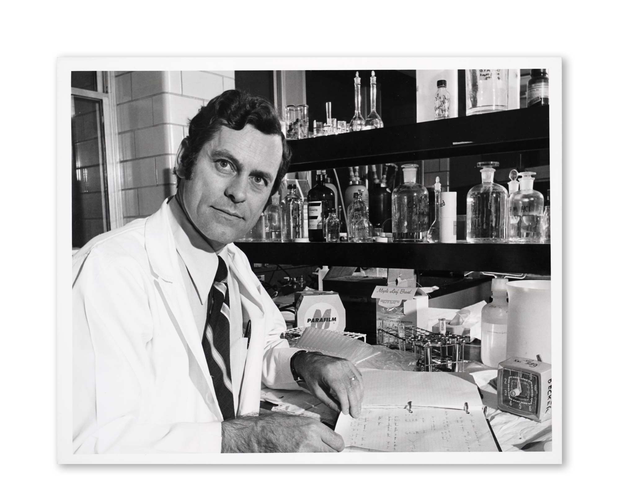 The accidental discovery of stem cells - Magazine - Arts and Science ...